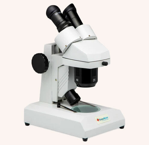 Hands-on Science Accessories – KnowAtom